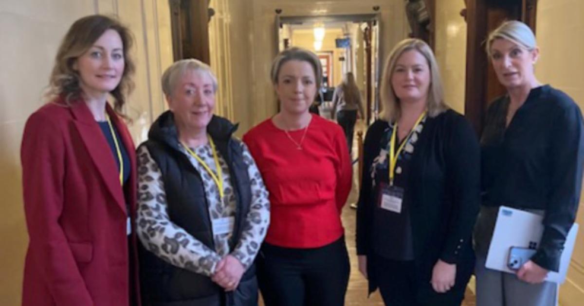Ladies with Letters put tough questions to health committee - Photo 1 ...