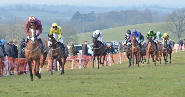 All eyes on local winners at point-to-point races - Alpha Newspaper Group