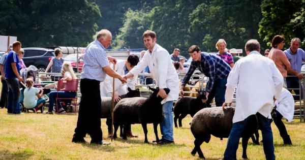 All set for return of Armagh County Show - Photo 1 of 1 - Alpha ...