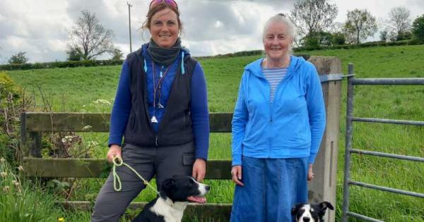 Locally bred sheepdog aiming to round up a world championship win ...