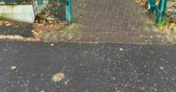 Hamiltonsbawn school principal in plea to careless dog owners - Photo 1 ...