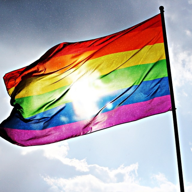 Palace Demesne set to fly rainbow flag - Alpha Newspaper Group